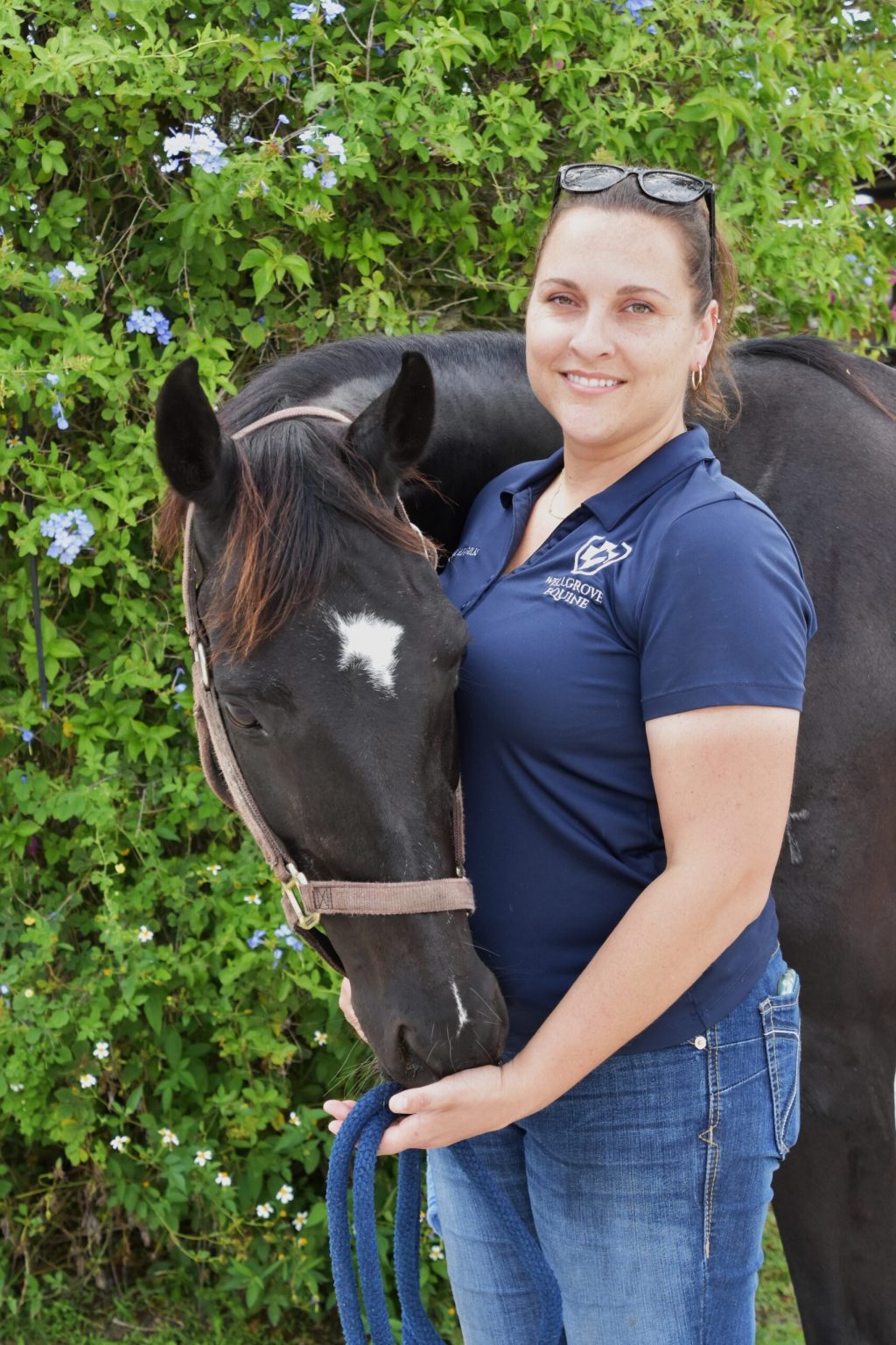 Putting Your Mare "Under Lights" with Dr. Jacqueline Giles - WellGrove ...