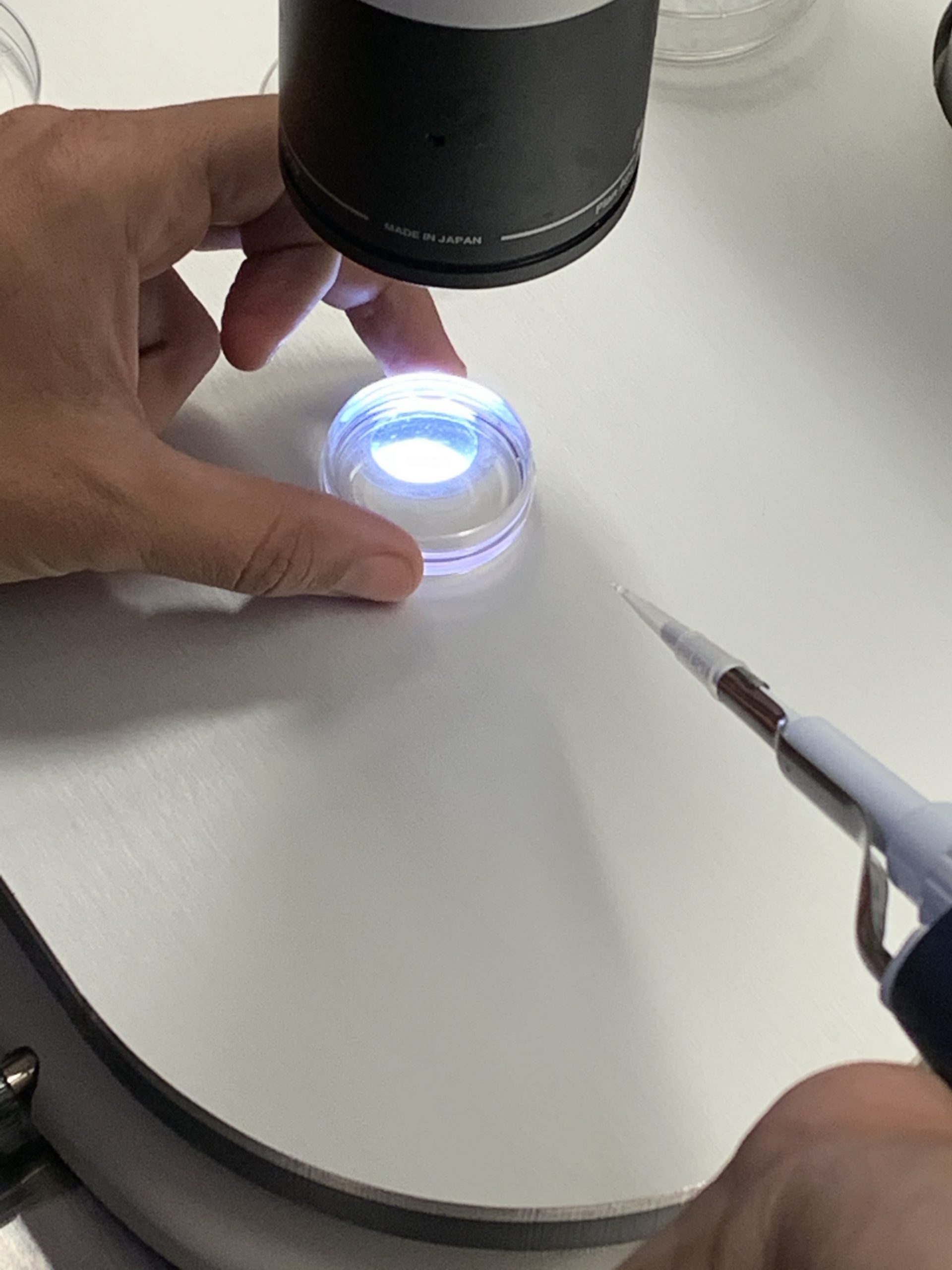 Let’s Talk about OPU - ICSI with Dr. Alex Rocha - WellGrove Equine