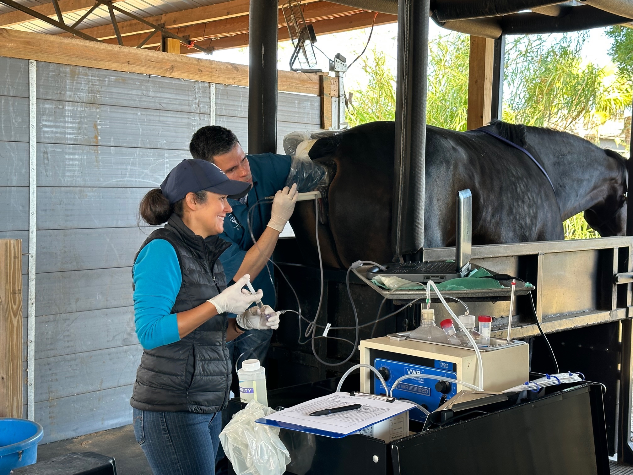 Let’s Talk about OPU - ICSI with Dr. Alex Rocha - WellGrove Equine