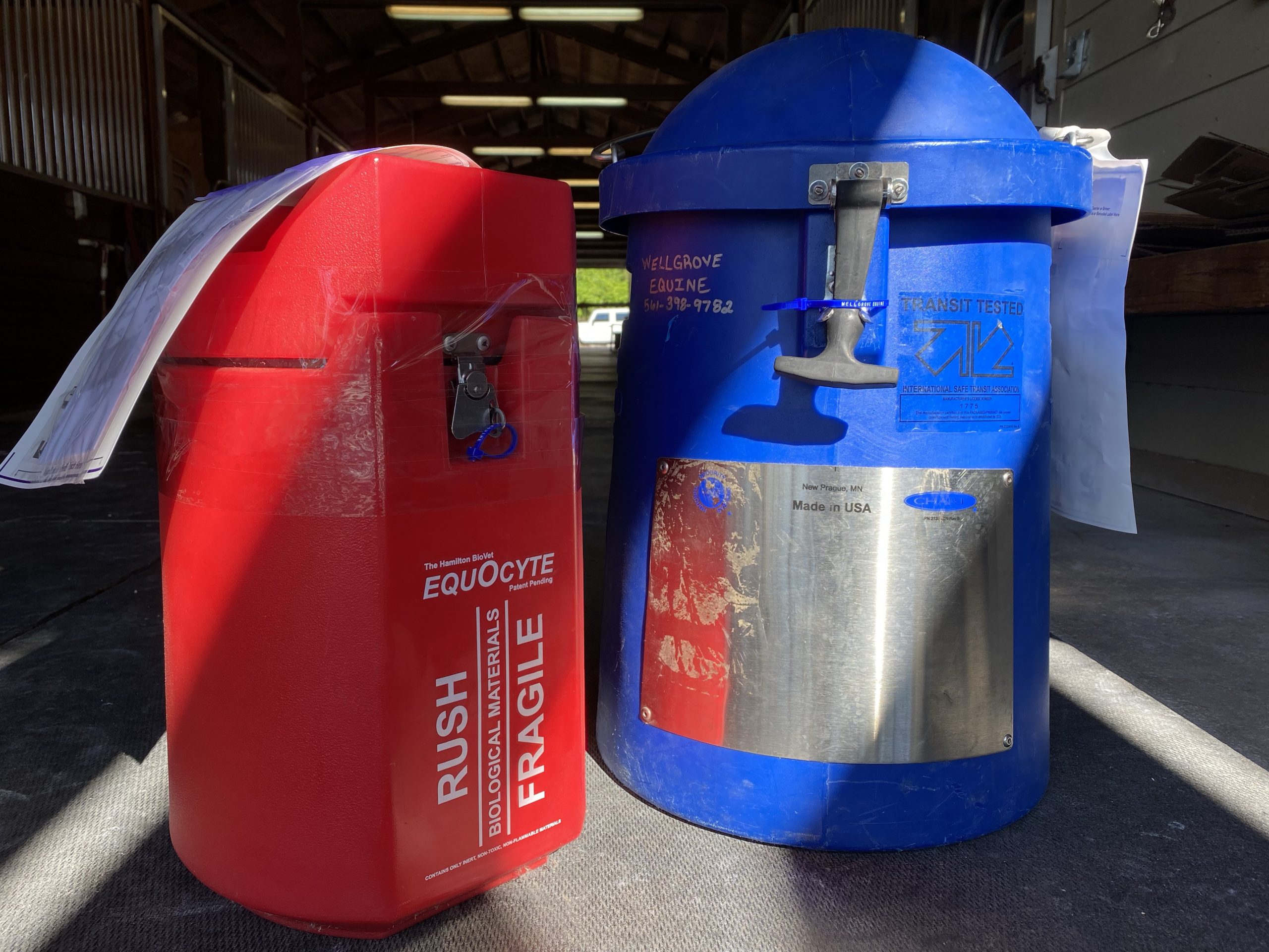 Let’s Talk about OPU - ICSI with Dr. Alex Rocha - WellGrove Equine